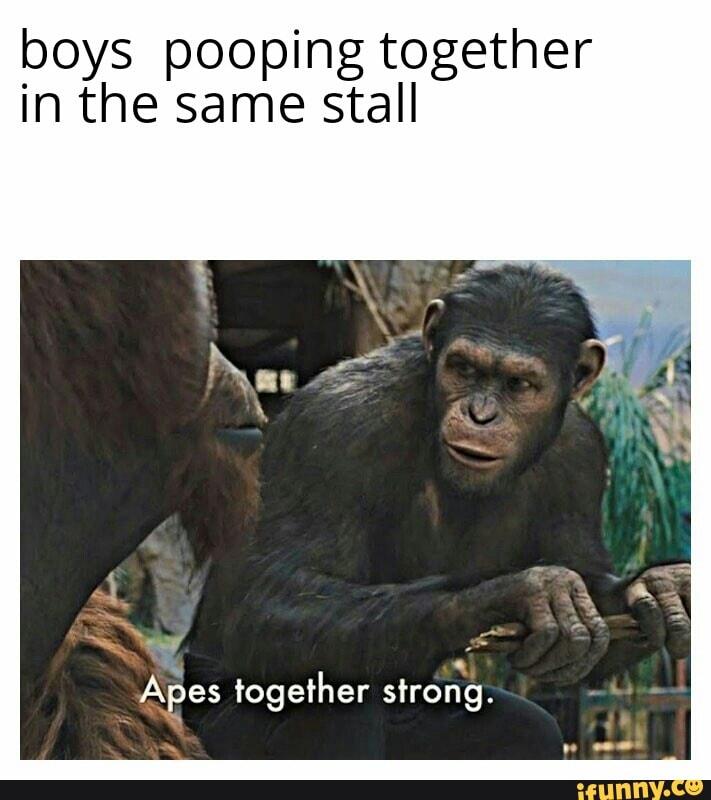 Boys pooping together in the same stall Áões together stron‘g. - iFunny