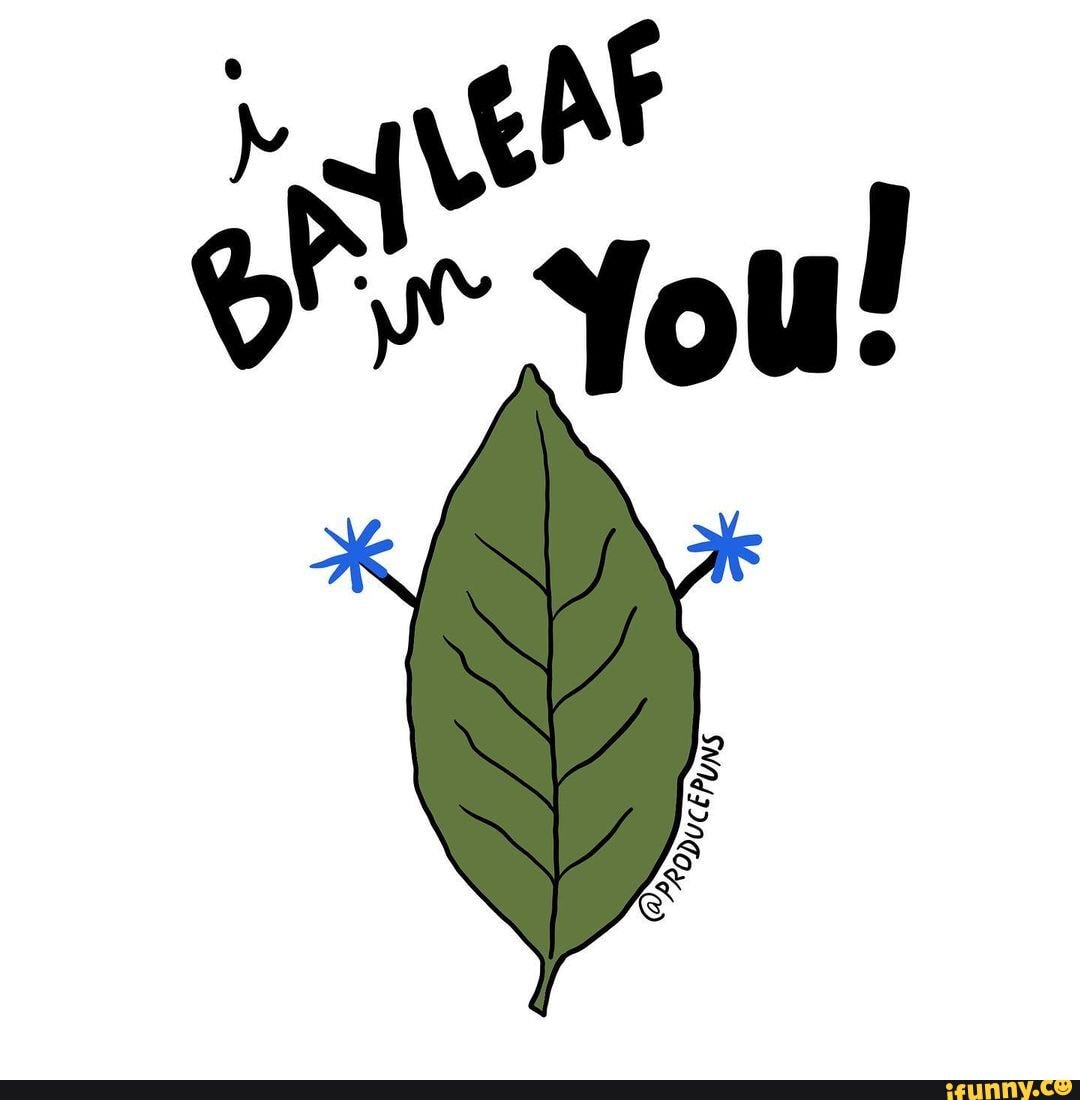 Bayleaf memes. Best Collection of funny Bayleaf pictures on iFunny