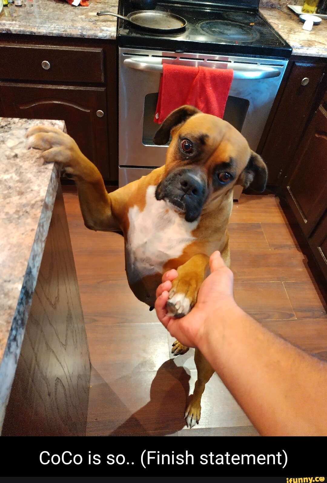 Coco memes. Best Collection of funny Coco pictures on iFunny