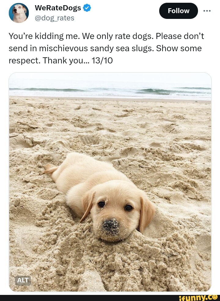 Ifunny Squidward And Sandy Doing It