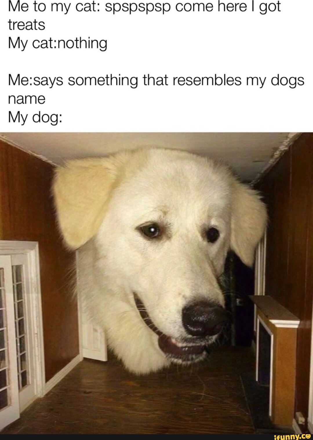 INVOKE SKILL - iFunny