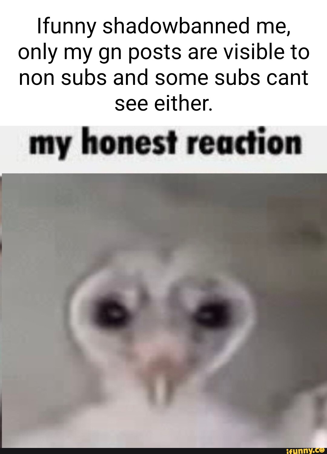 Ifunny shadowbanned me, only my gn posts are visible to non subs and ...