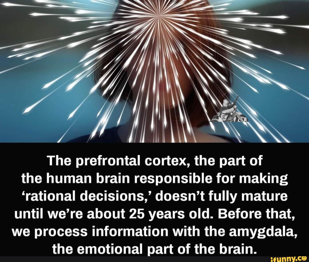 The prefrontal cortex, the part of the human brain responsible for ...