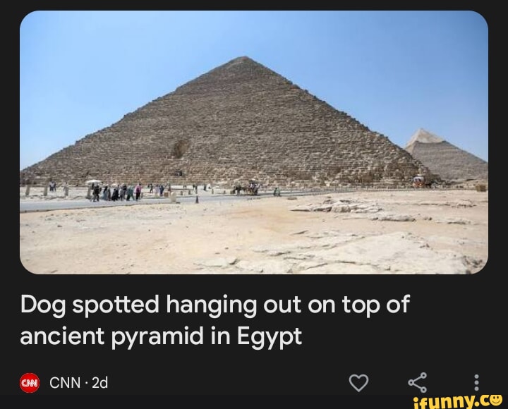 Dog spotted hanging out on top of ancient pyramid in Egypt CNN - iFunny