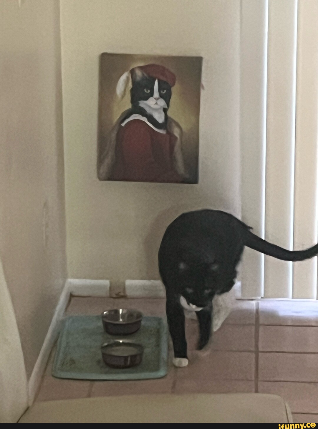 Sire memes. Best Collection of funny Sire pictures on iFunny