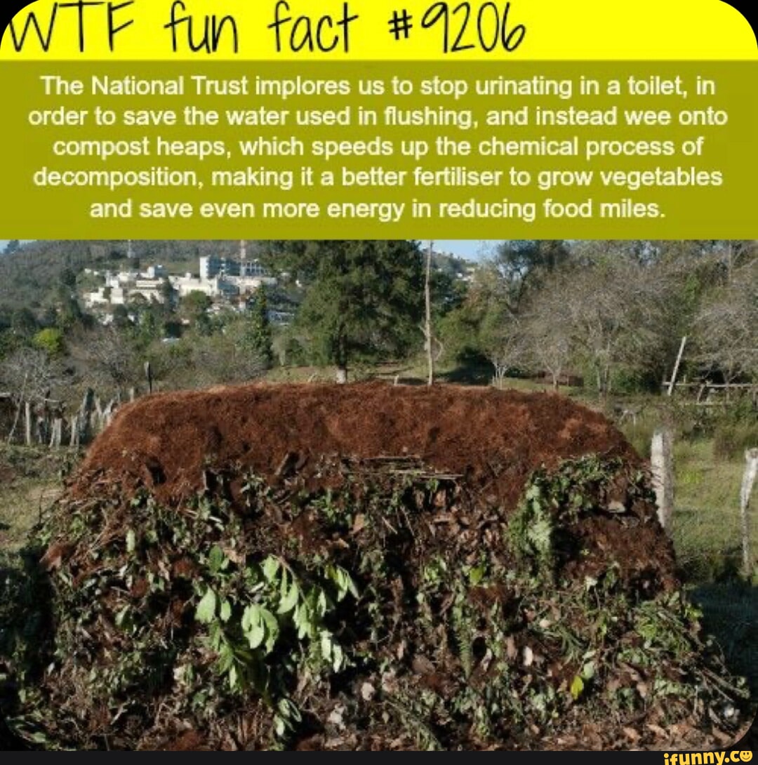 Compost memes. Best Collection of funny Compost pictures on iFunny