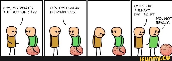 Elephantitis memes. Best Collection of funny Elephantitis pictures on ...