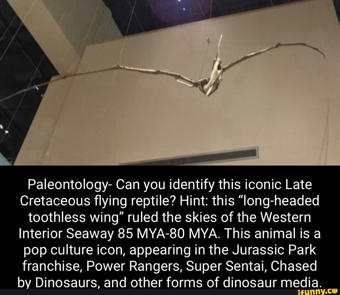 Paleontology- Can you identify this iconic Late Cretaceous flying ...