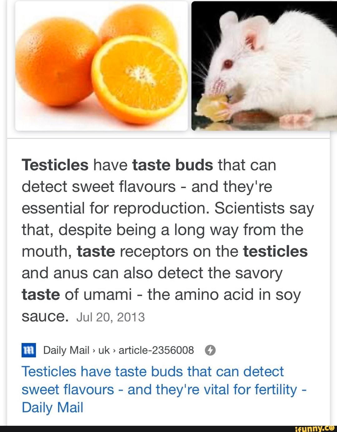 Testicles have taste buds that can detect sweet flavours and they're ...