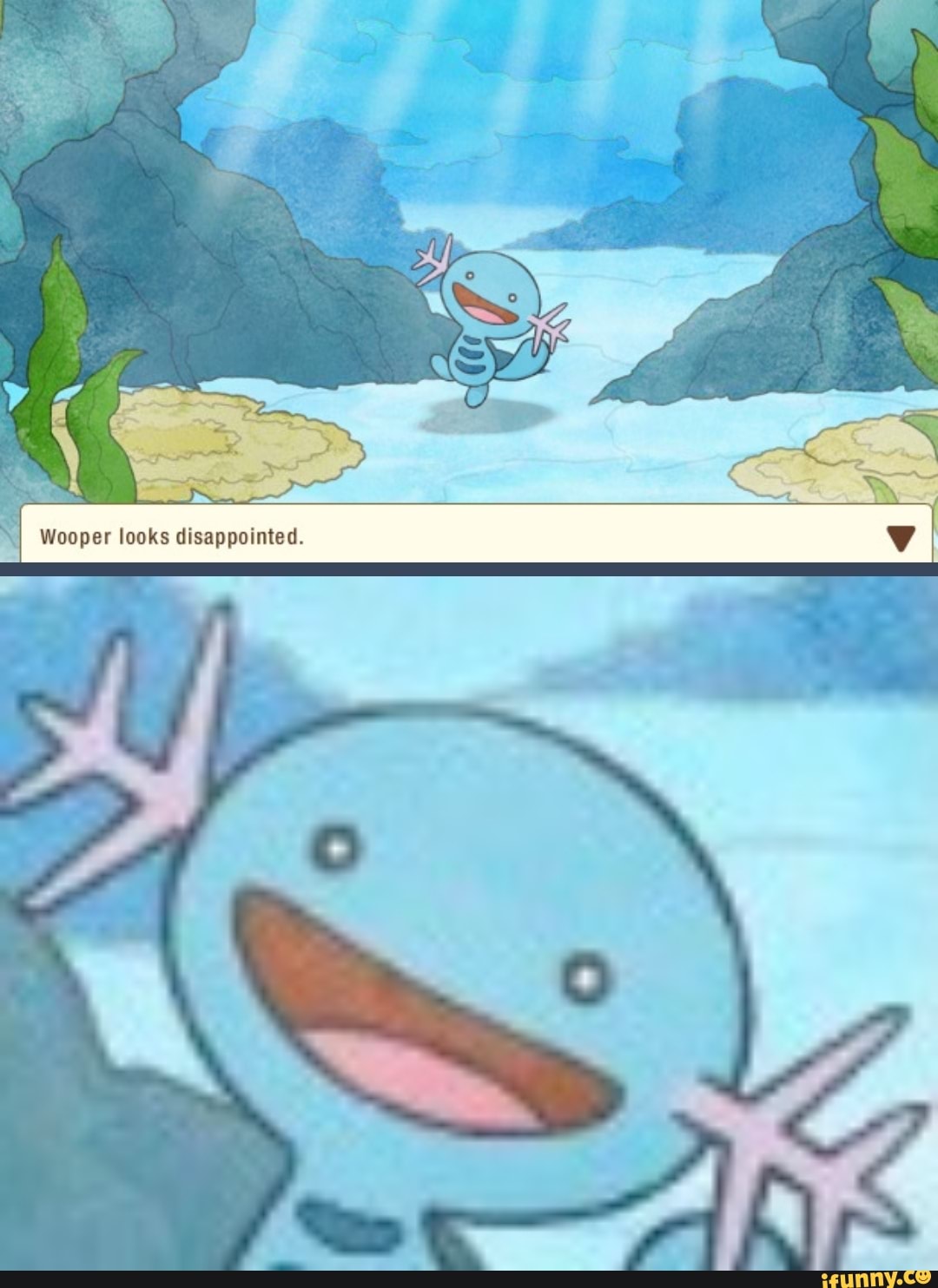 Wooper looks disappointed. - iFunny