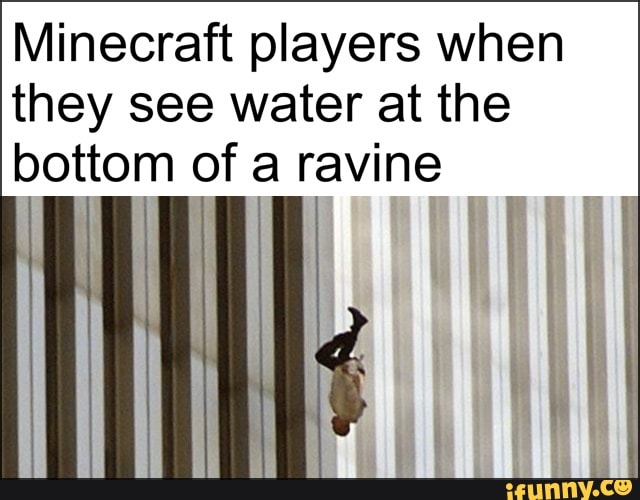 Minecraft players when they see water at the bottom of a ravine - iFunny