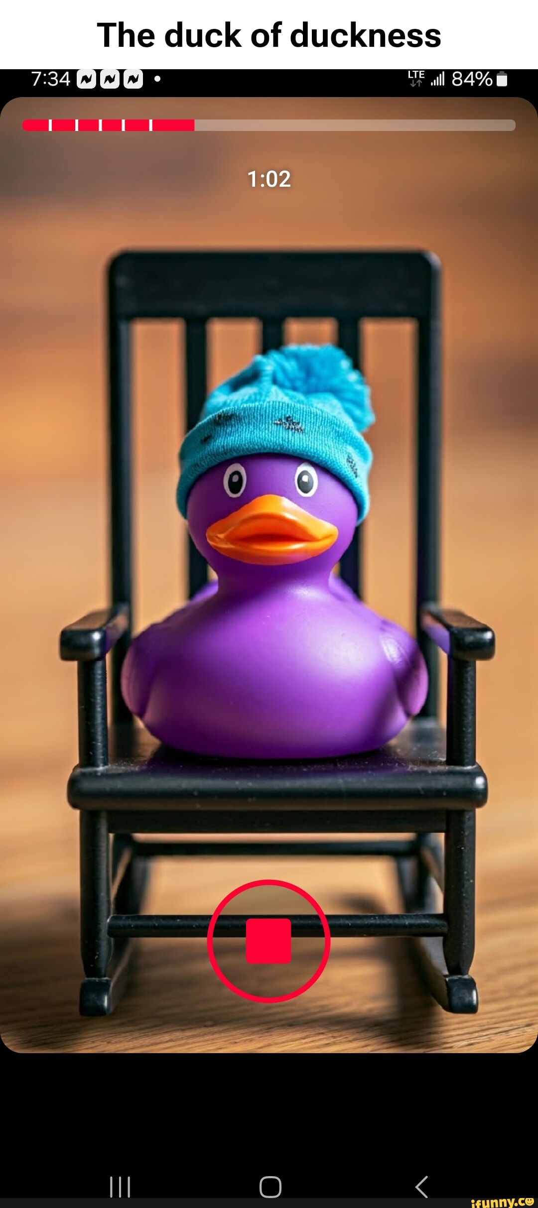 Duck memes. Best Collection of funny Duck pictures on iFunny