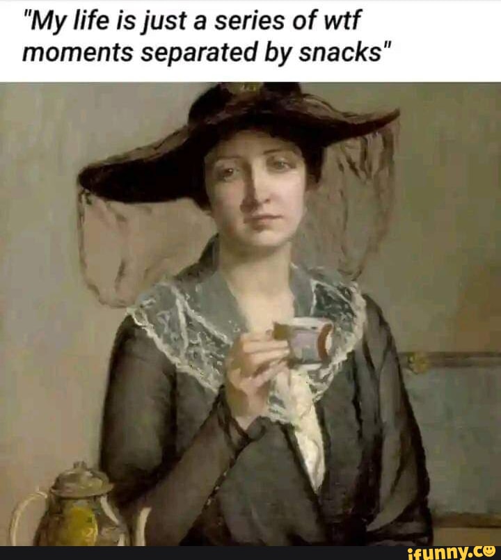 "My life is just a series of wtf moments separated by snacks" - iFunny