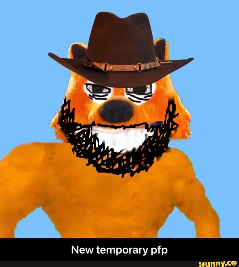 New temporary pfp - New temporary pfp - iFunny