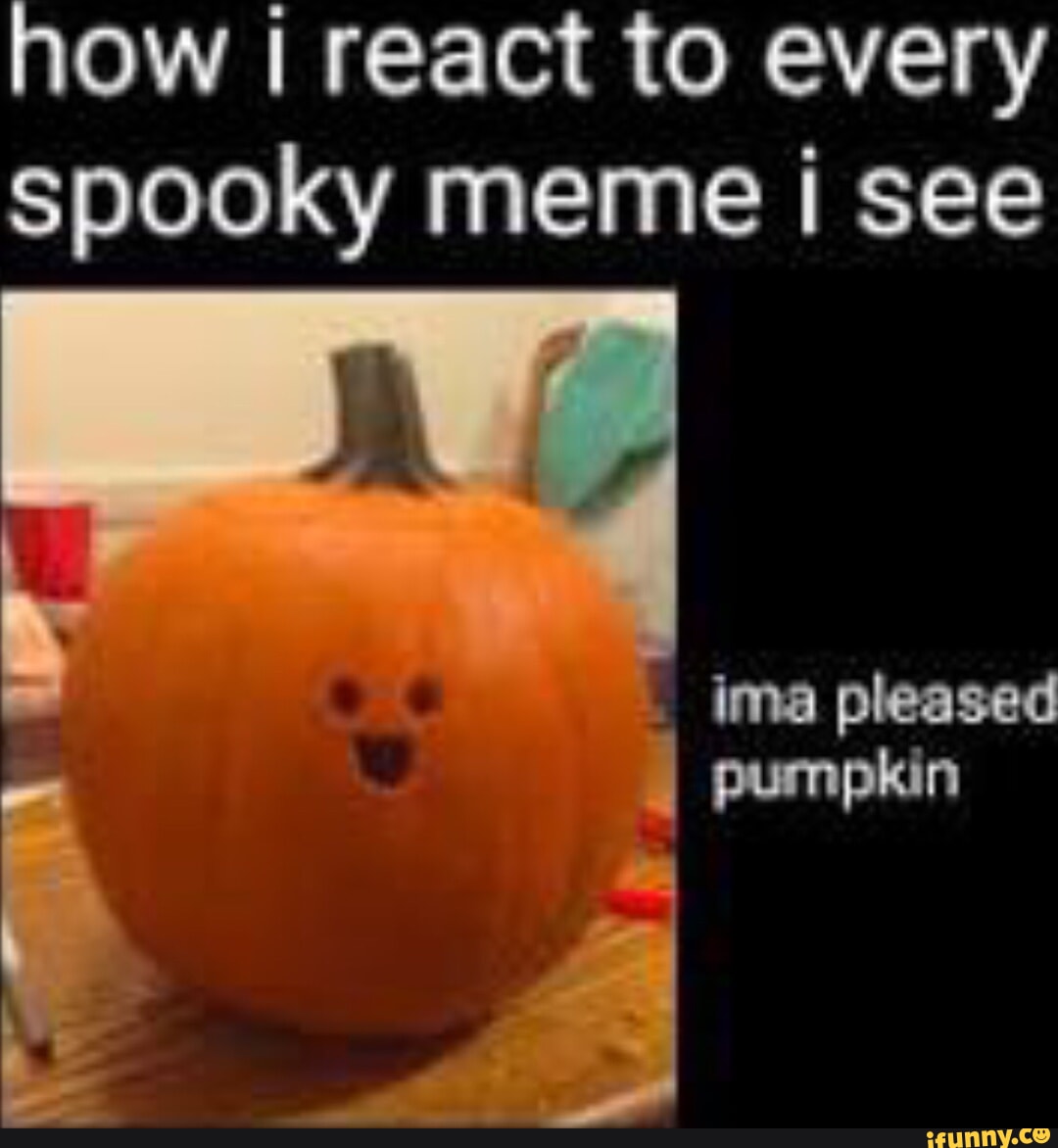 How i react to every spooky meme i see ima pleased pumpkin - iFunny