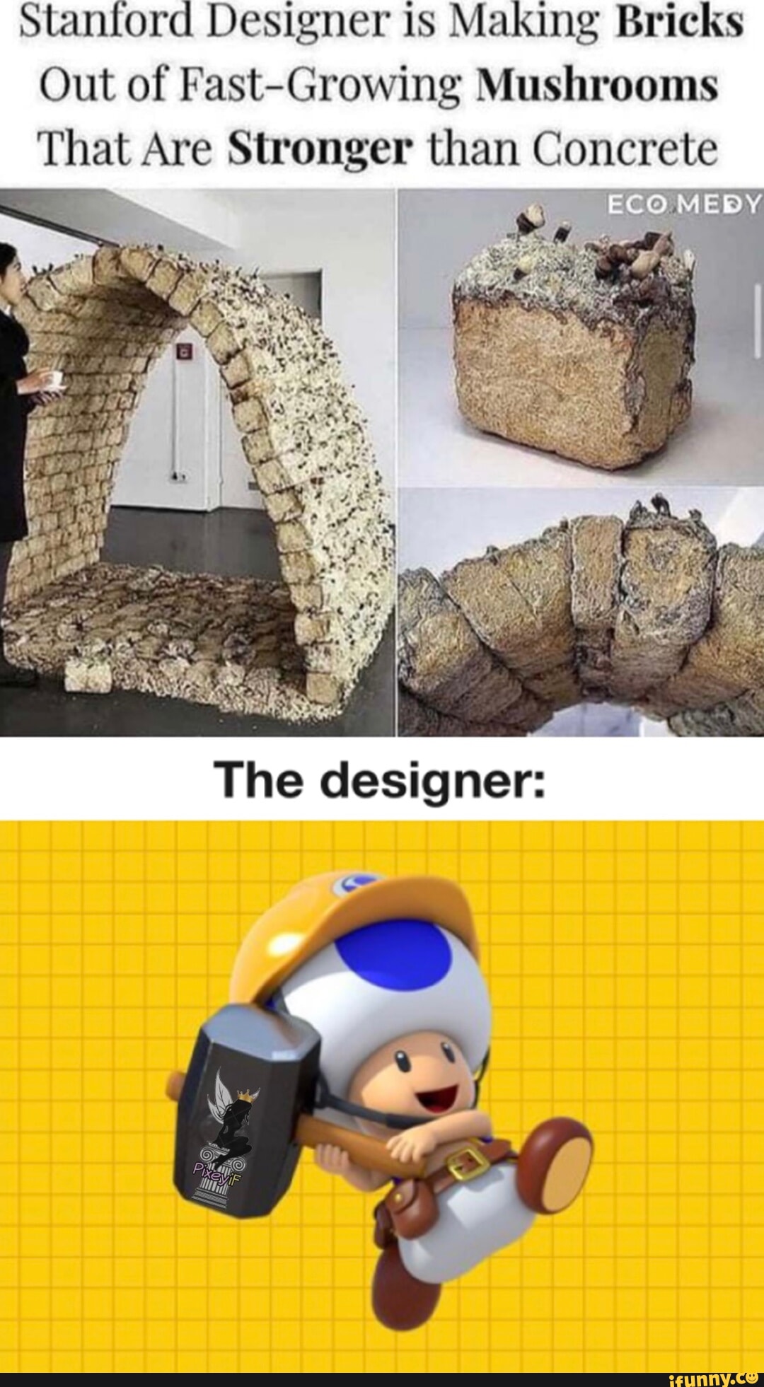 Stanford memes. Best Collection of funny Stanford pictures on iFunny