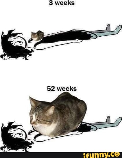 In 1921 the first ever meme was made. Let's celebrate 100 years of meme ...