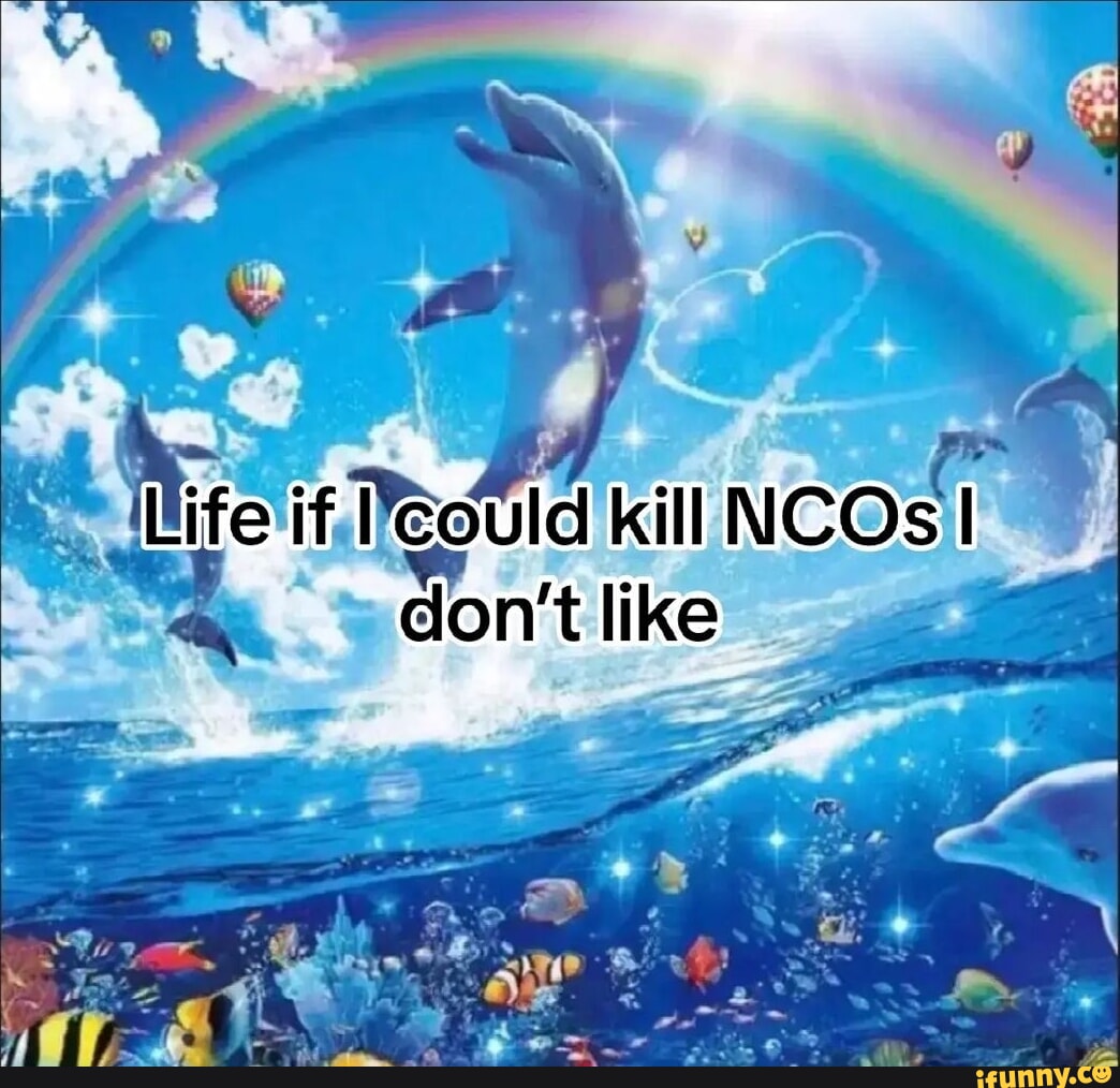 Ncos memes. Best Collection of funny Ncos pictures on iFunny