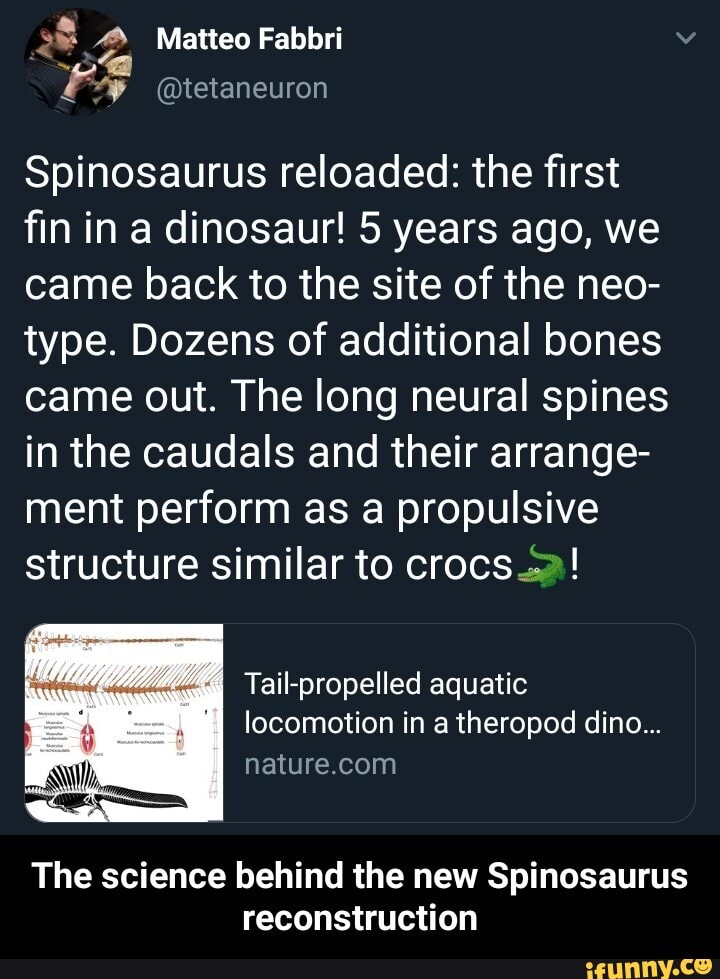 Spinosaurus reloaded: the first fin in a dinosaur! 5 years ago, we came ...