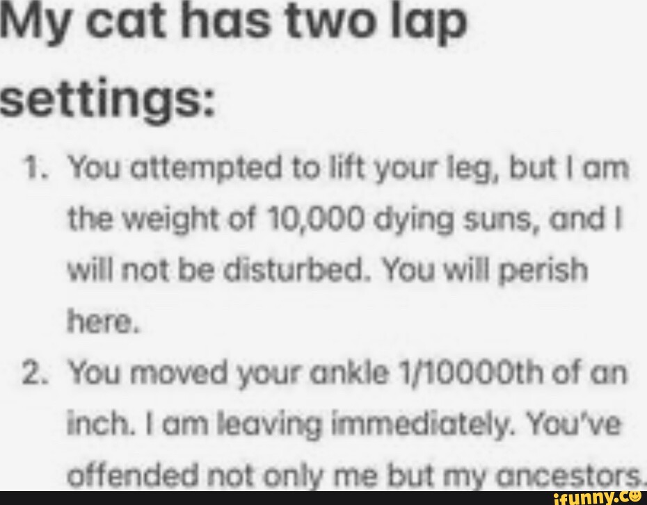 REP. LAUREN BOEBERT @RepBoebert - iFunny