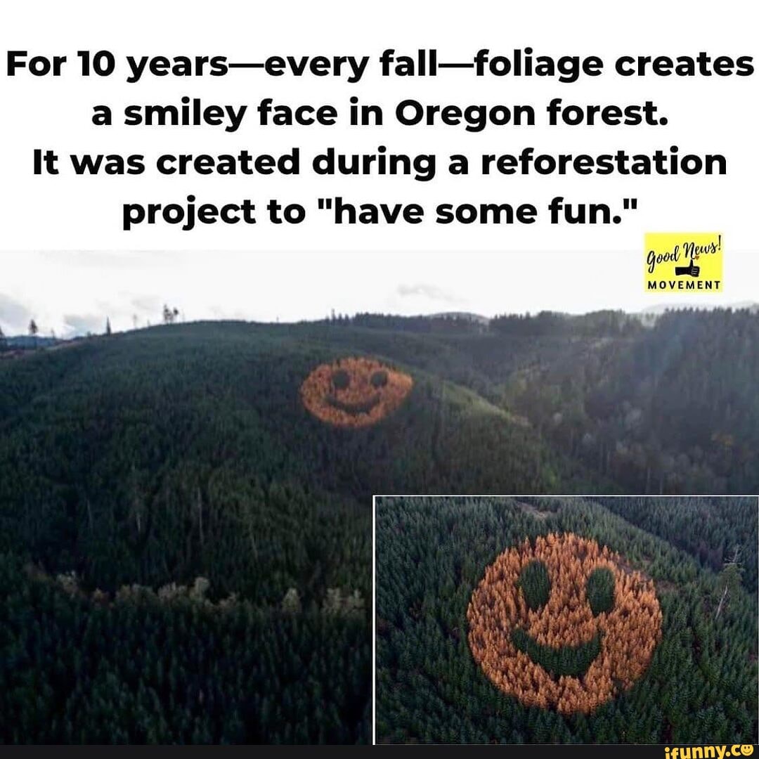 Reforestation memes. Best Collection of funny Reforestation pictures on ...