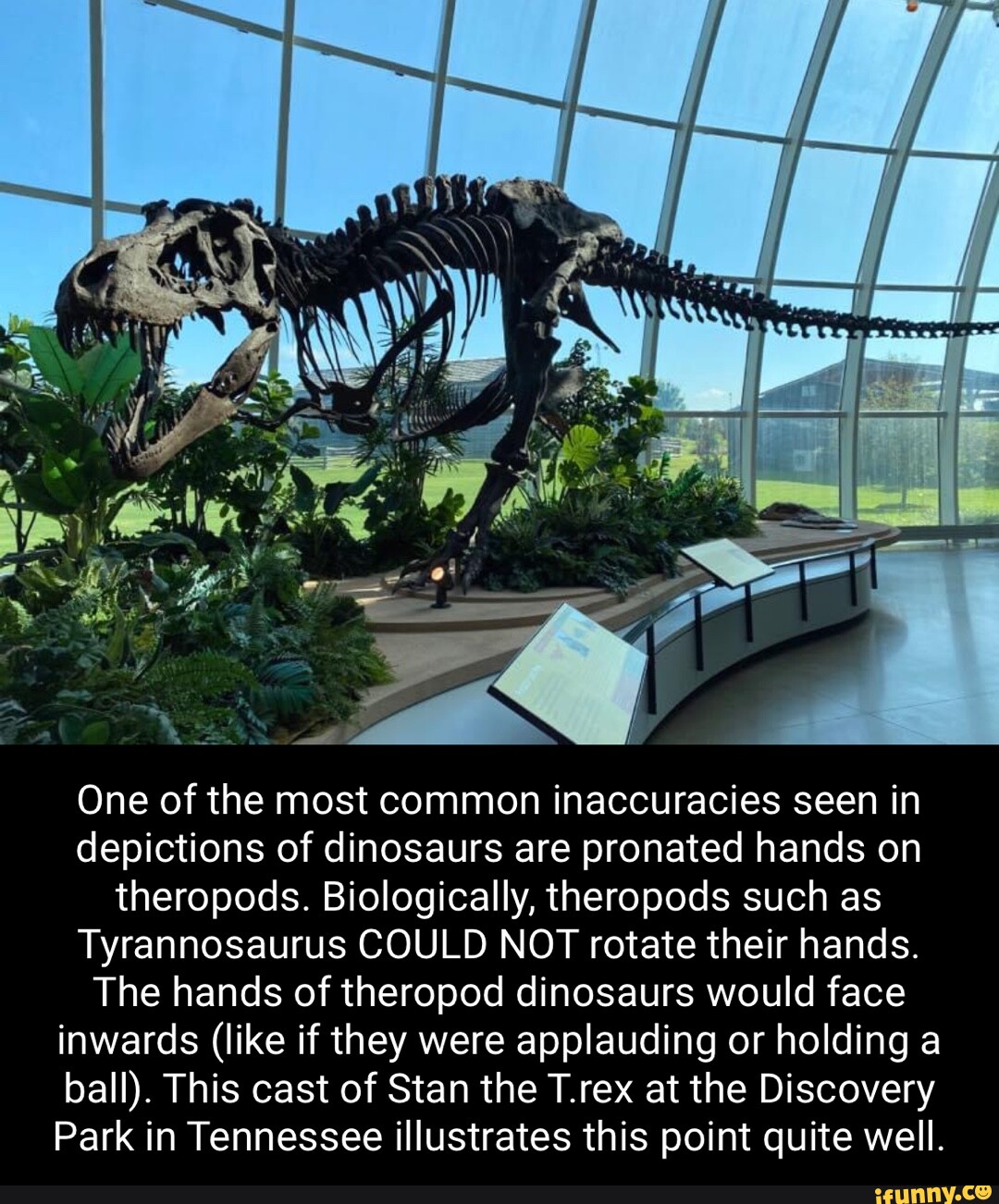One of the most common inaccuracies seen in depictions of dinosaurs are ...