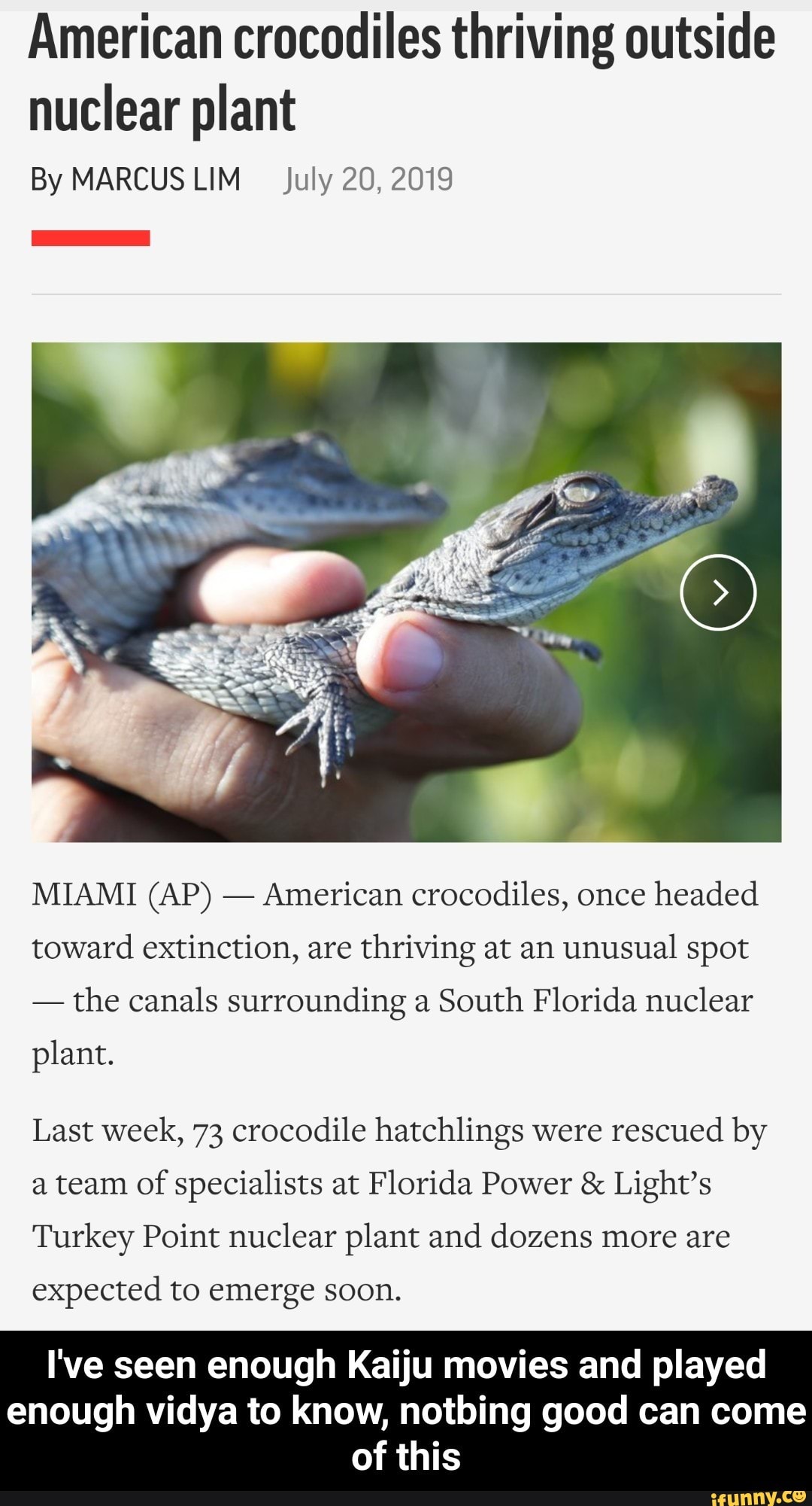 Lizard Huehuehue Meme