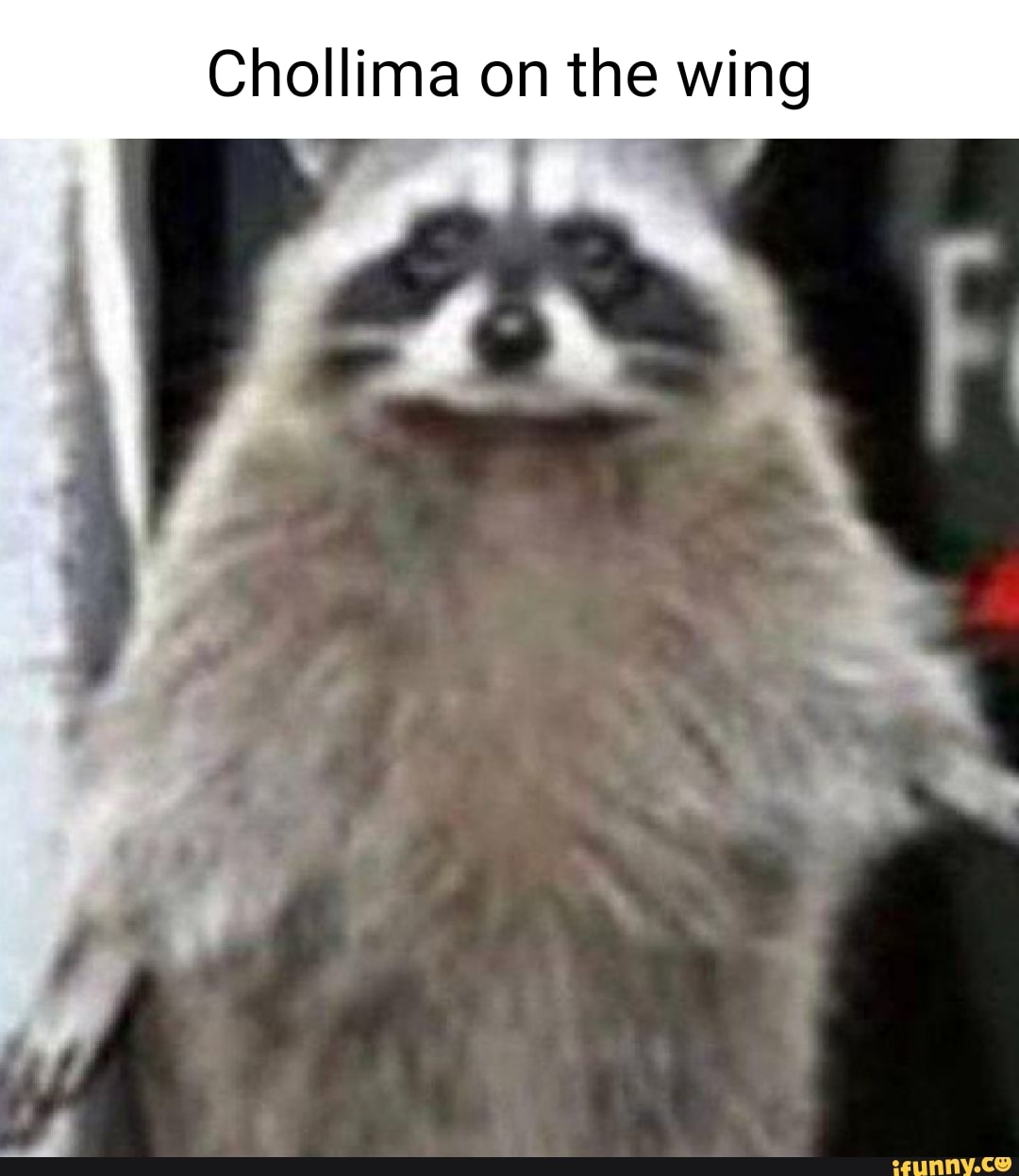 Chollima memes. Best Collection of funny Chollima pictures on iFunny