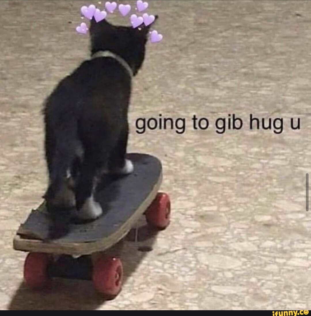 Gib memes. Best Collection of funny Gib pictures on iFunny