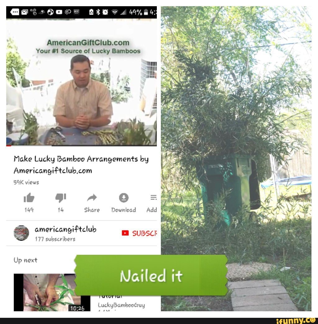 Bamboos memes. Best Collection of funny Bamboos pictures on iFunny