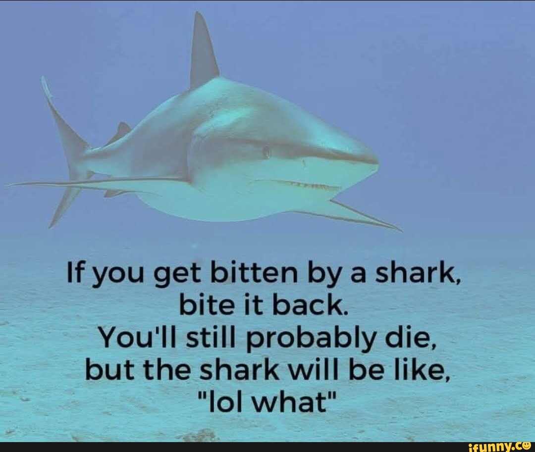 If you get bitten by a shark, bite it back. You'll still probably die ...