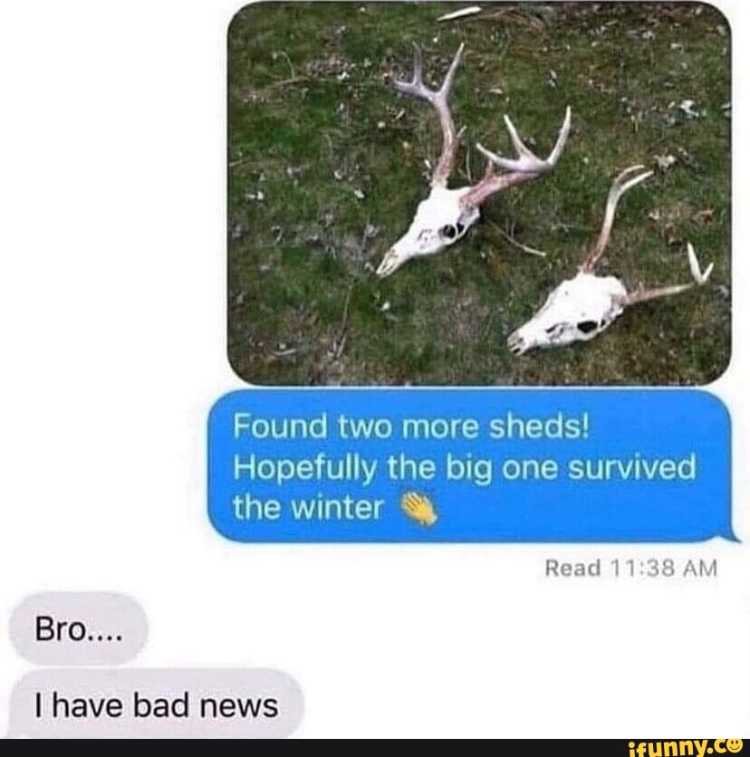 Sheds memes. Best Collection of funny Sheds pictures on iFunny