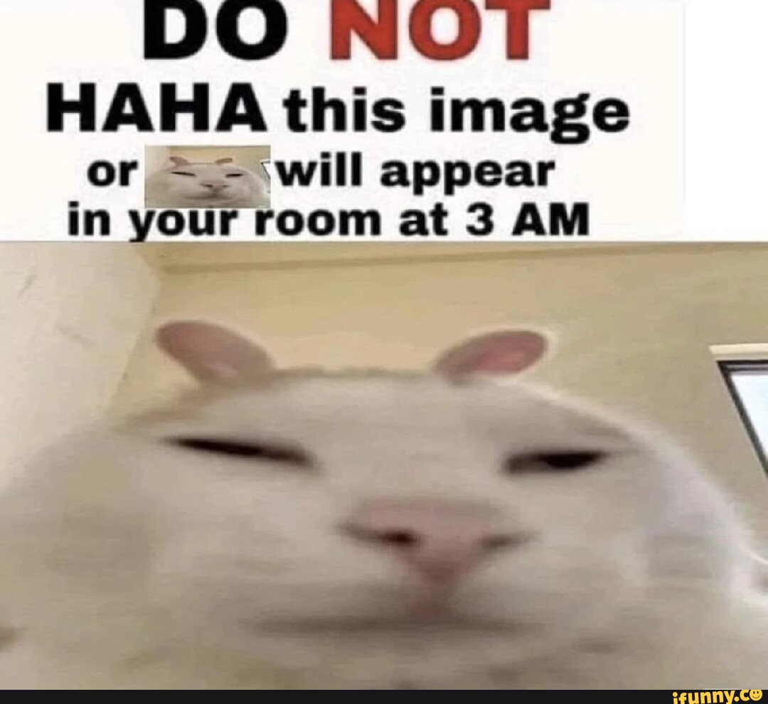 NOT HAHA this image or will appear in your room at 3 AM - iFunny