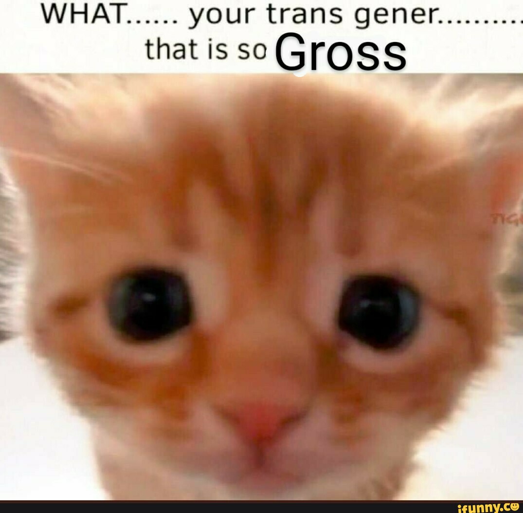 WHAT...... your trans gener......... that is so Gross - iFunny