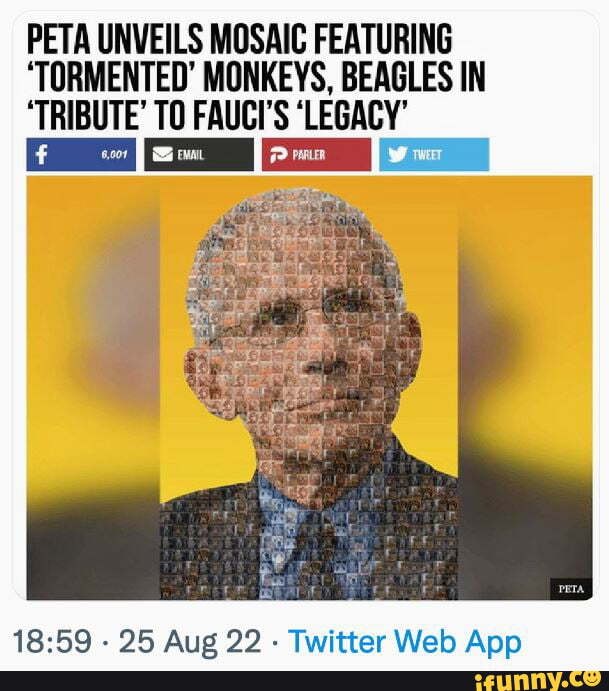 PETA UNVEILS MOSAIC FEATURING 'TORMENTED' MONKEYS, BEAGLES IN "TRIBUTE ...