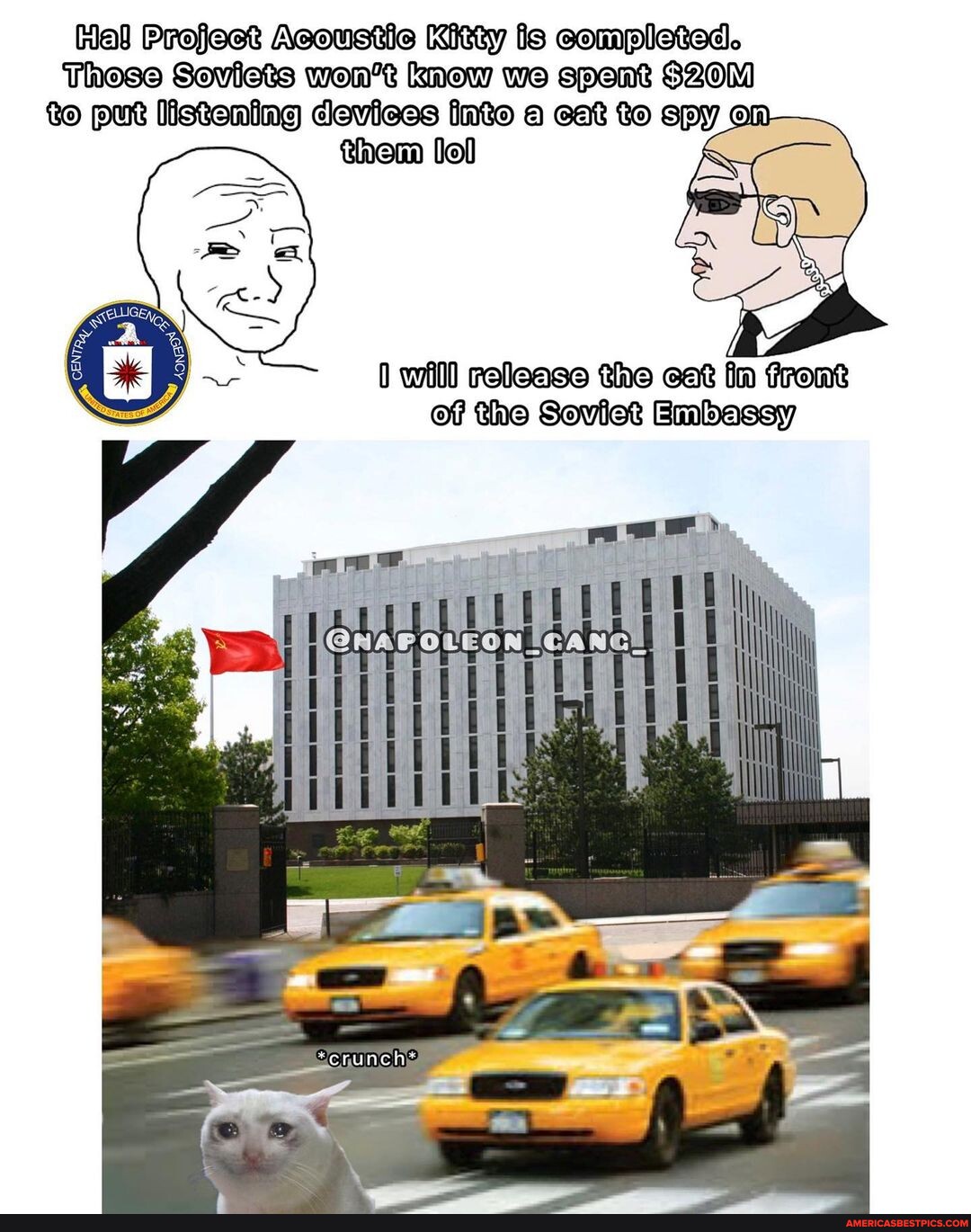 Poor Kitty😭 // Follow @napoleon_gang_ for more history memes!!! - - # ...