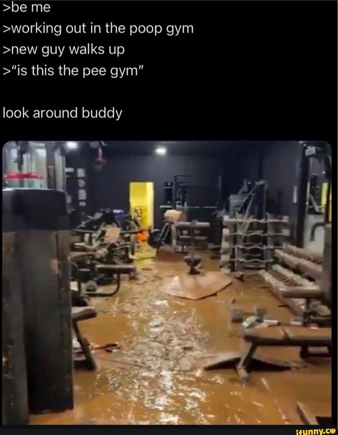 Gym Meme Poop Poop – THE VaJENNA MonoBLOGS