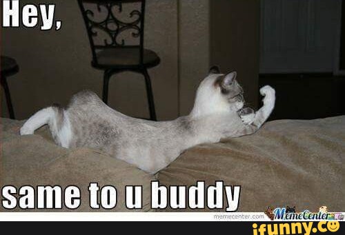Hey, same tou buddy - iFunny
