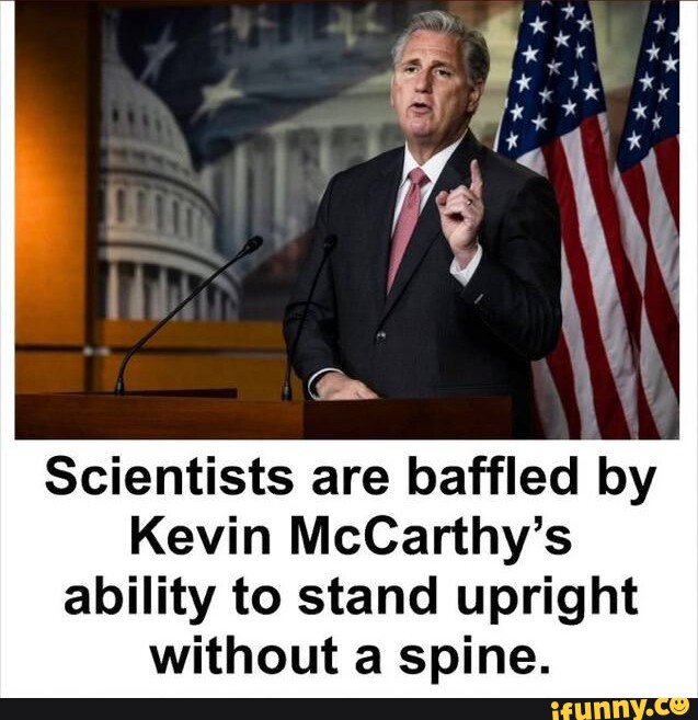 Scientists are baffled by Kevin McCarthy's ability to stand upright ...