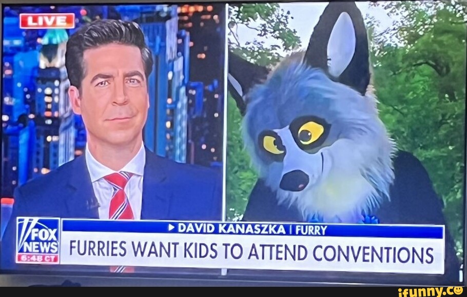 > DAVID KANASZKA I FURRY FURRIES WANT KIDS TO ATTEND CONVENTIONS - iFunny