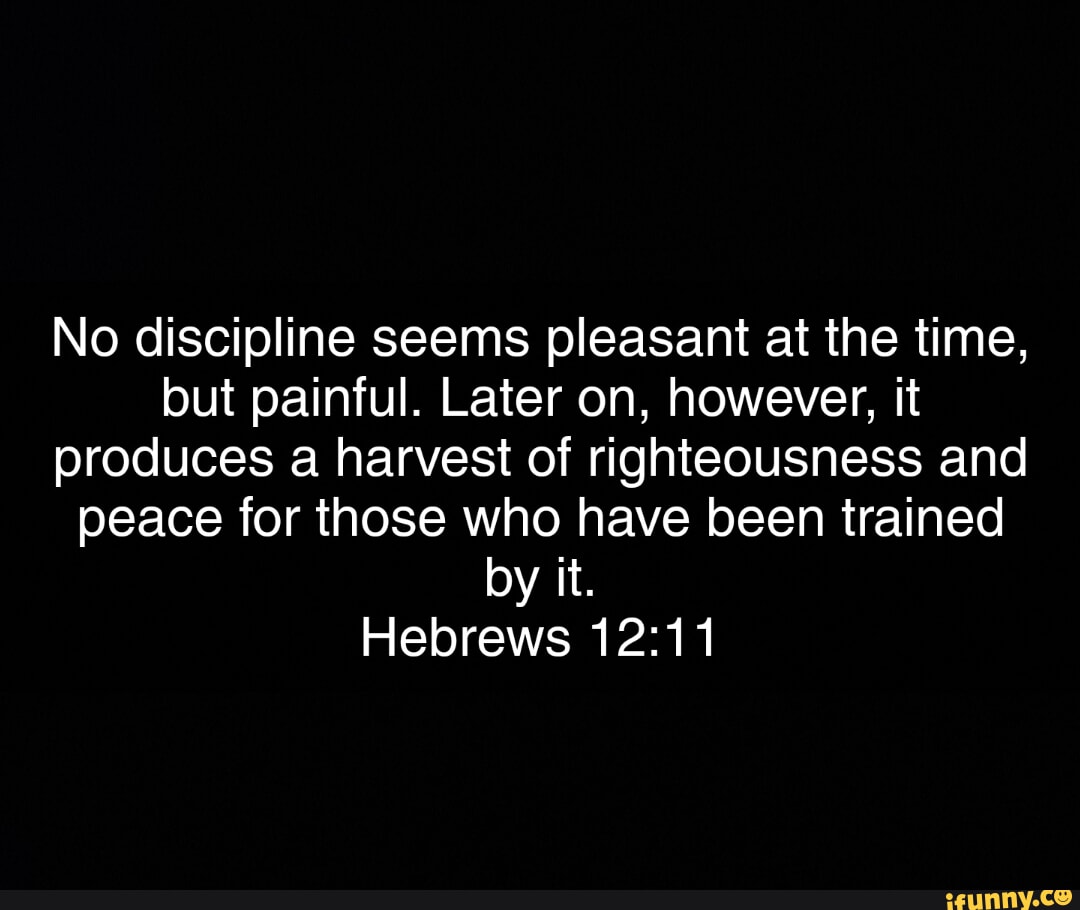 Discipline memes. Best Collection of funny Discipline pictures on iFunny