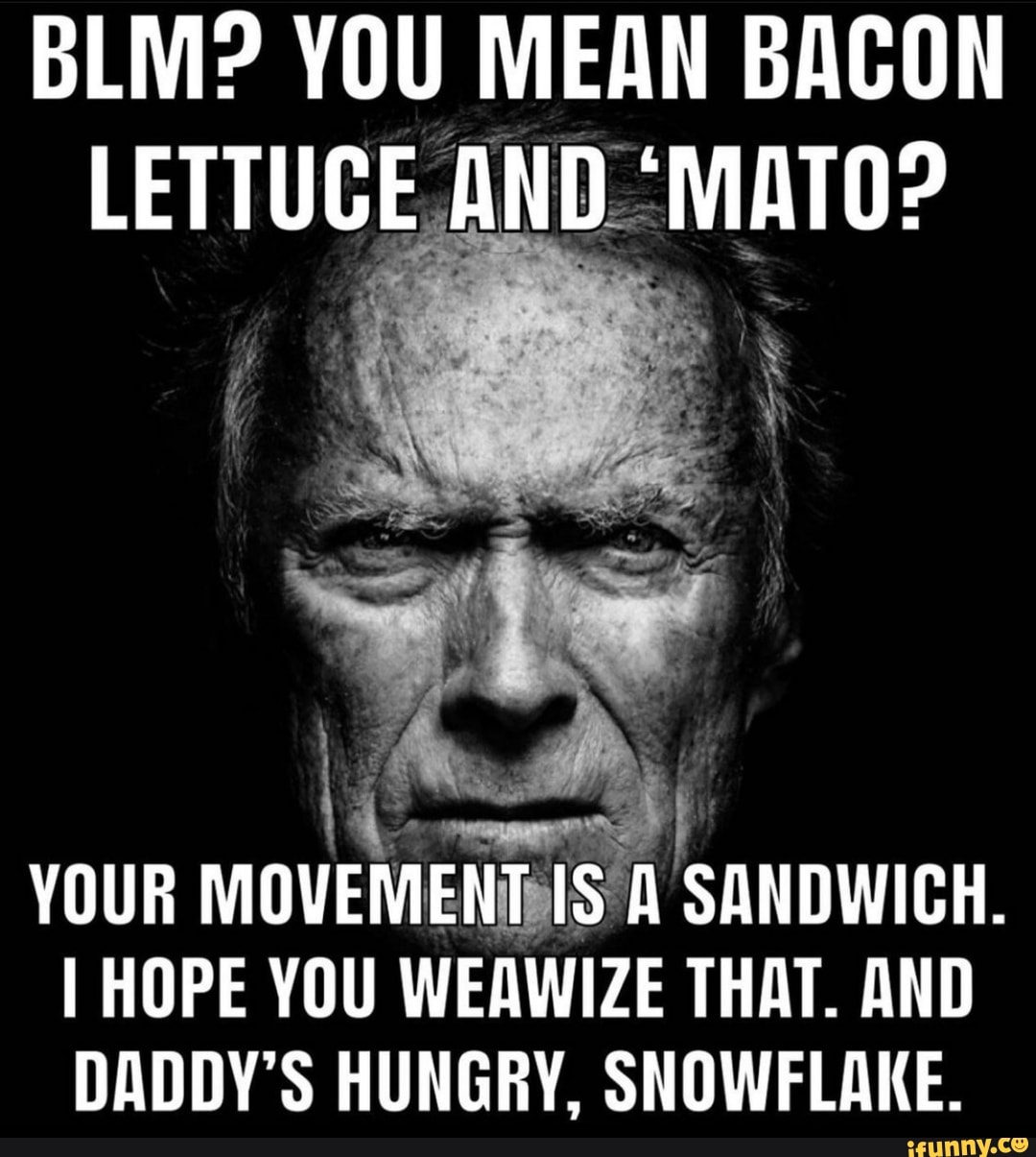 BLM? YOU MEAN BACON LETTUCE AND 'MATO? YOUR MOVEMENT IS A SANDWICH. I ...
