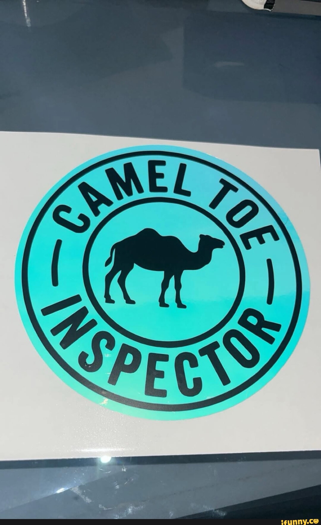 Camel memes. Best Collection of funny Camel pictures on iFunny