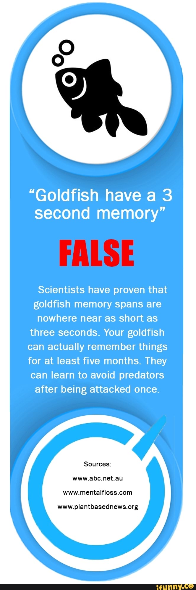"Goldfish have a 3 second memory" Scientists have proven that goldfish ...