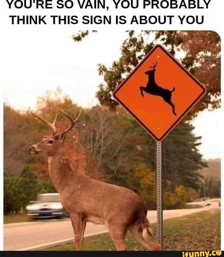 Remember when optical illusions Just mad you go "huh" instead of ...