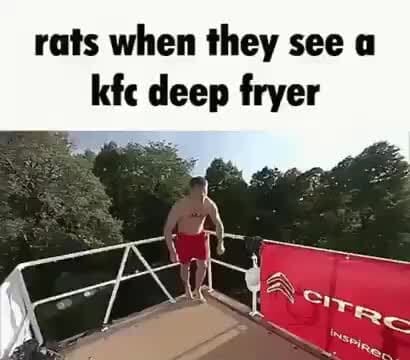 Rats when they see a kfc deep fryer - )