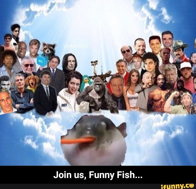 Join us, Funny Fish... - iFunny