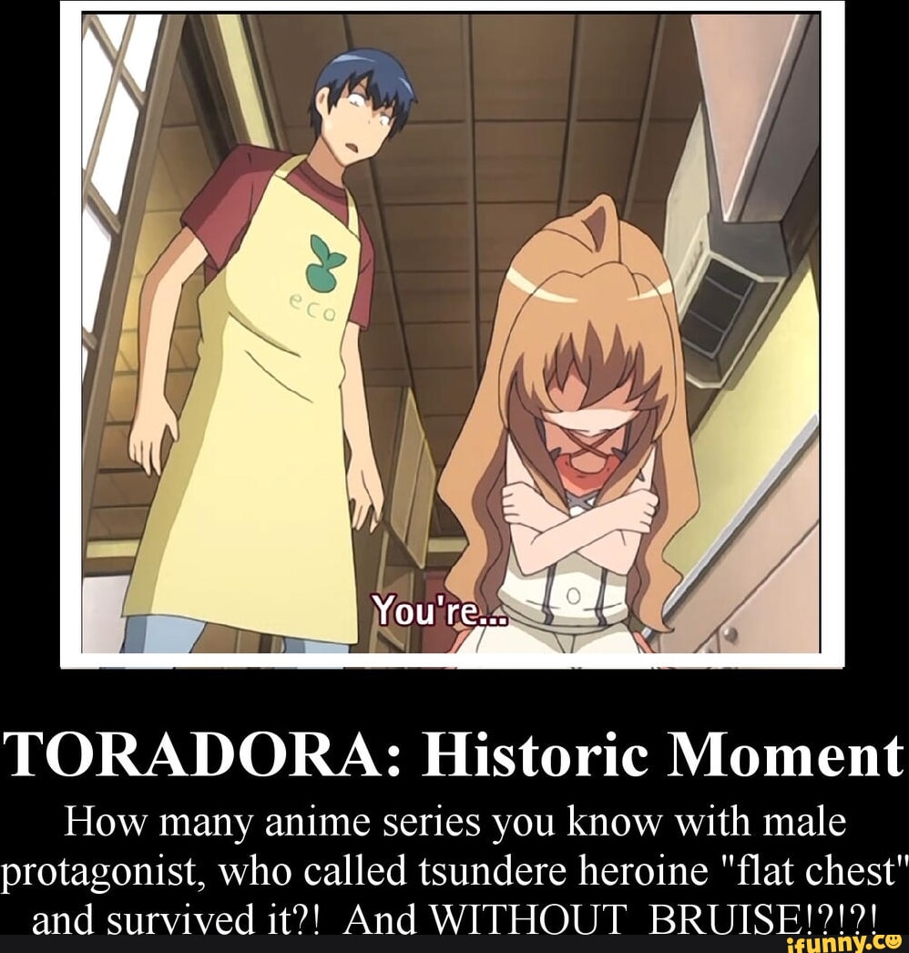 TORADORA: Historic Moment low many anime series you know with male ...