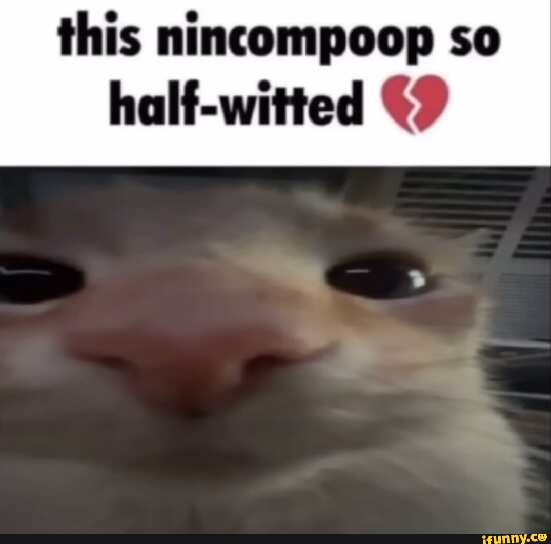 This nincompoop so half-witted - iFunny