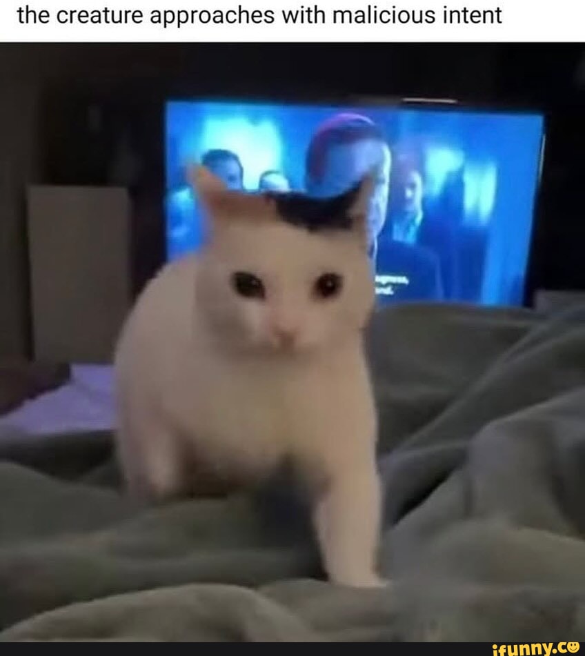 "Drink water from the spring where horses drink, The horse will never ...